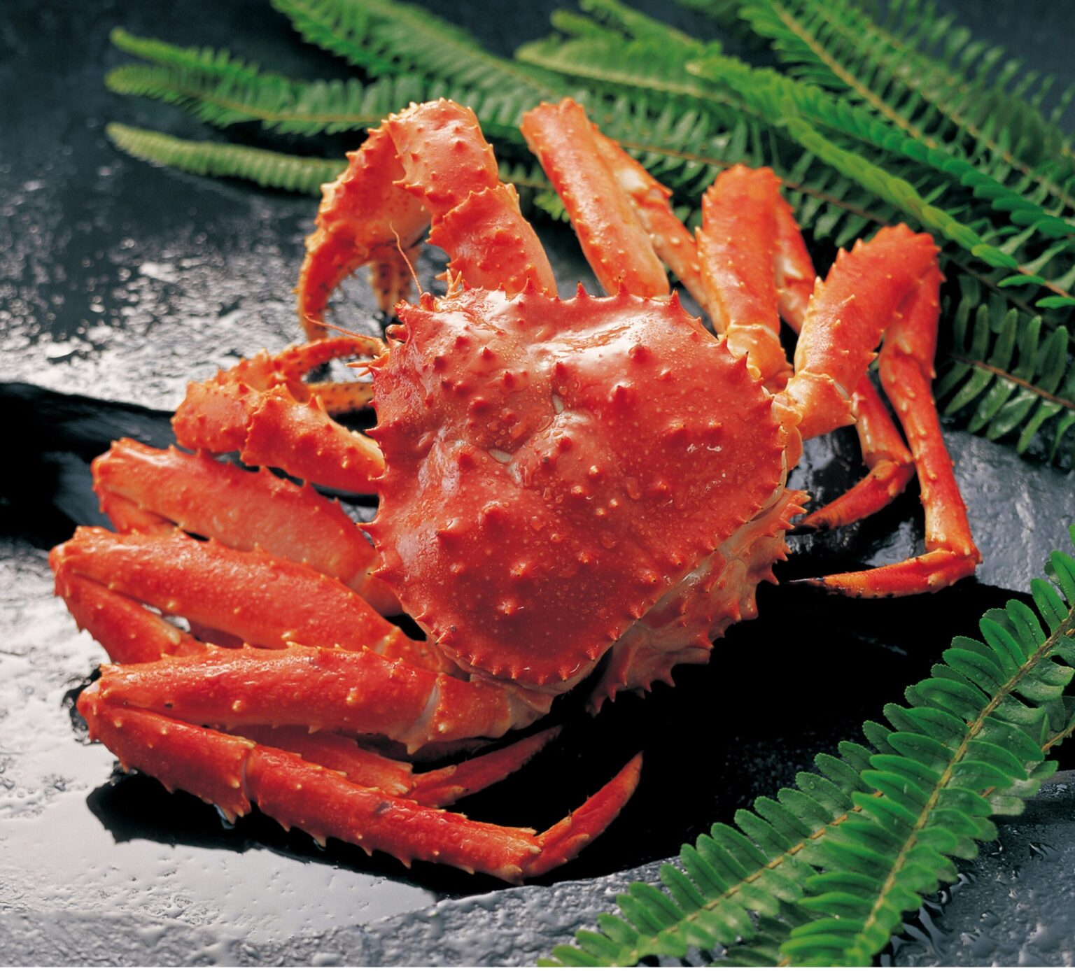 Menu- Nasi Lemak Sambal Lesung